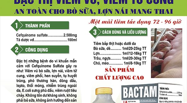 V250 BACTAM - Công ty Cổ Phần Nanovet